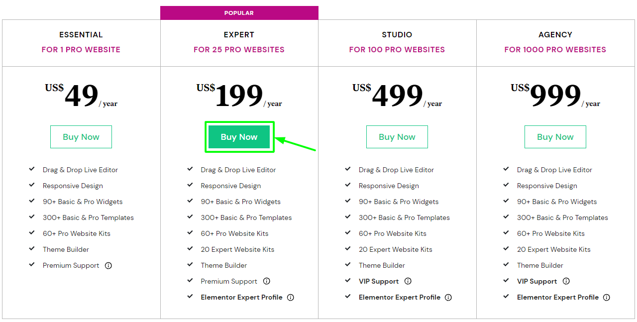 Elementor Pro Review 2024 - Is It Right For You?